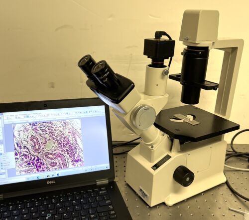 Nikon TMS-F Inverted Phase Contrast Photo Microscope with 5 MP camera ...