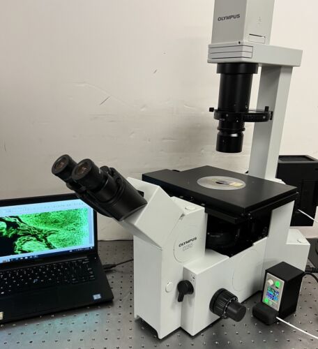 Olympus IX 50 Microscope Inverted Fluorescence Broadband LED + Phase 5 ...