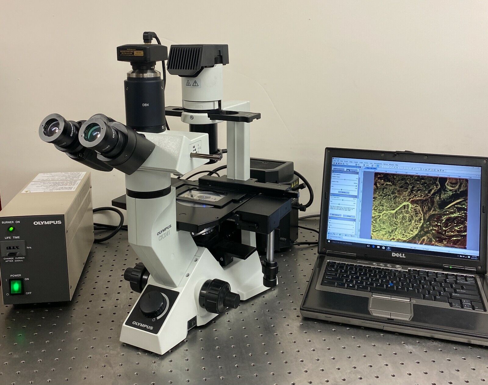 Olympus CKX41 Fluorescence Phase Contrast Inverted Microscope 5MP Came ...